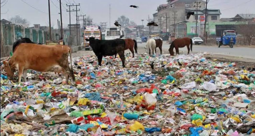 Remove encroachments, solid waste from roadside or face action ...